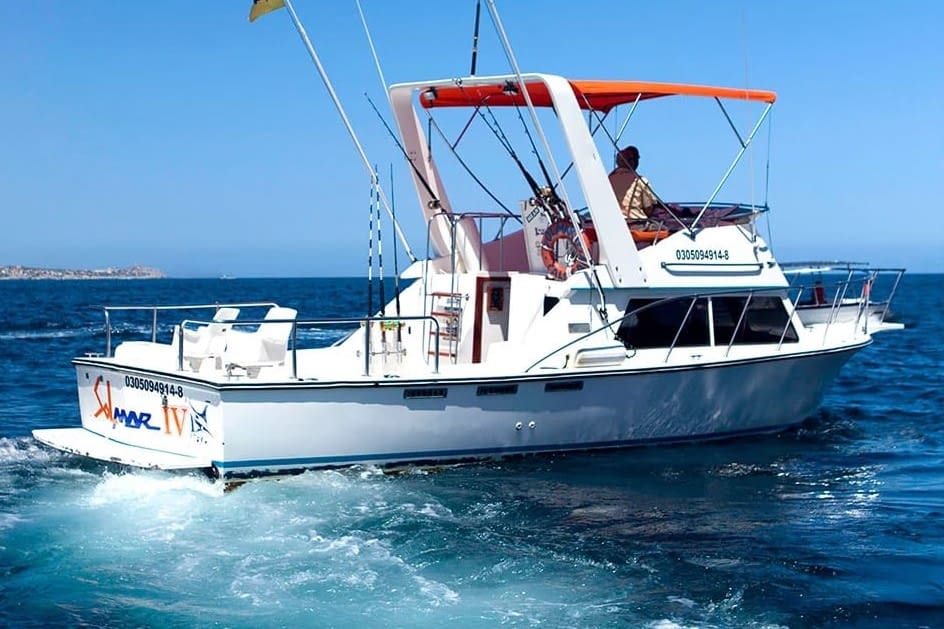 Cabo fishing fleet - Cabo Fishing Charters - FISHING CHARTERS
